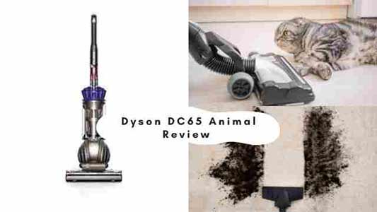 Dyson DC65 Animal Review - Upright Vacuum Cleaner - BestVacuumInfo.com